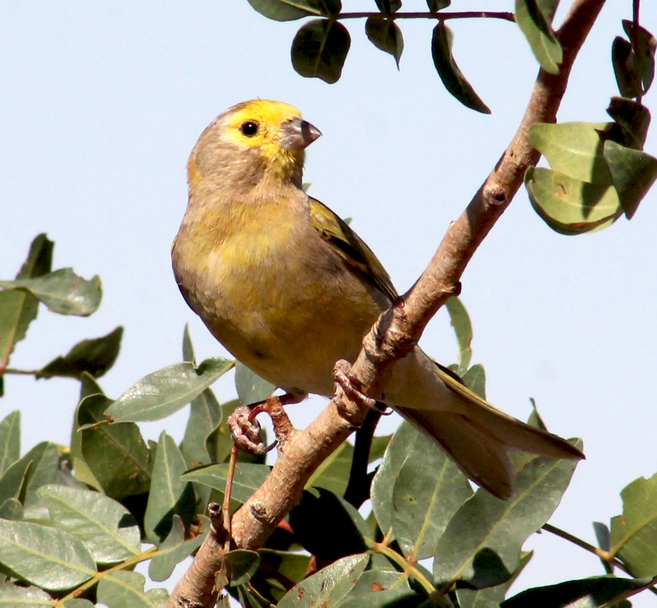 About JBW - JBW About Jordan BirdWatch wild birds protection